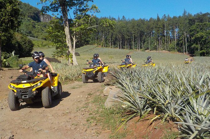 Small Quad Tour 2h30 Quad excursion in Moorea (single or two-seater) - What You Can Expect from the Experience