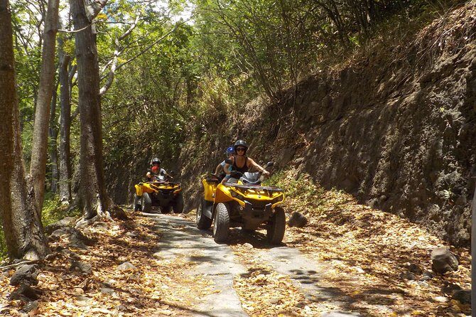 Small Quad Tour 2h30 Quad excursion in Moorea (single or two-seater) - The Sum Up: Who Will Love This Tour?