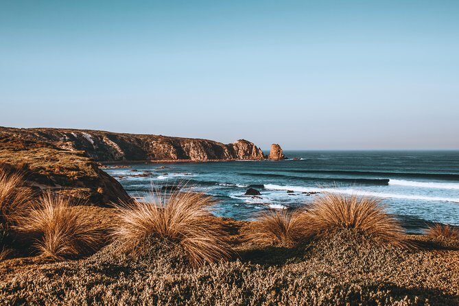 Small Tour (8 ppl) Phillip Island Hike & Penguin Parade Day Tour - FAQ