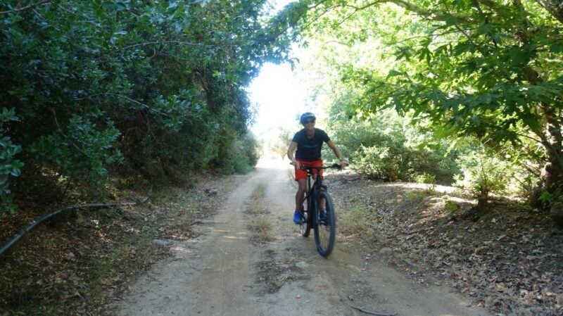 Small Villages and Cretan Nature. E-Bike tour - A Closer Look at the Tour