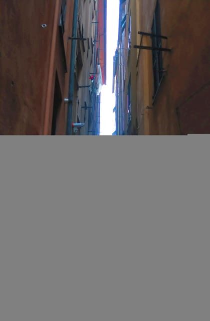 Smart guiding around a city with unique features. - Authentic reviews and what travelers say