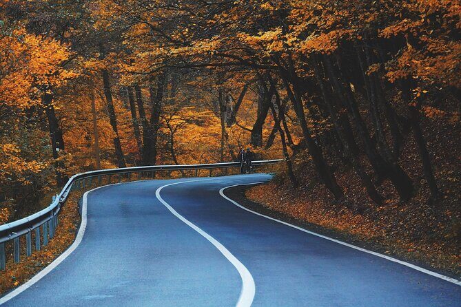 Smartphone Audio Driving Tour between Huntsville & Toronto - Who Should Consider This Tour?