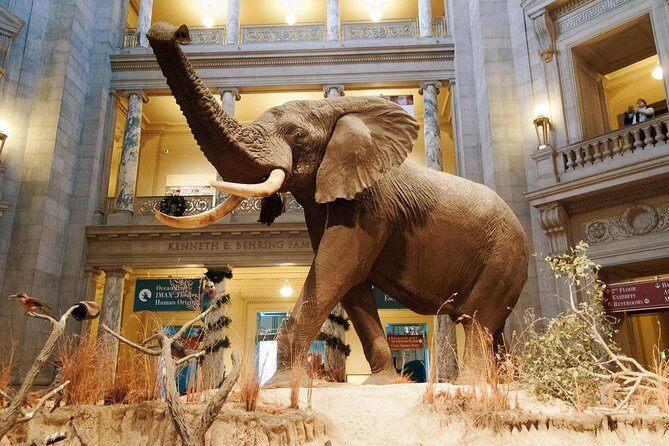 Smithsonian Museum of Natural History - Exclusive Guided Tour - Why Choose This Tour?