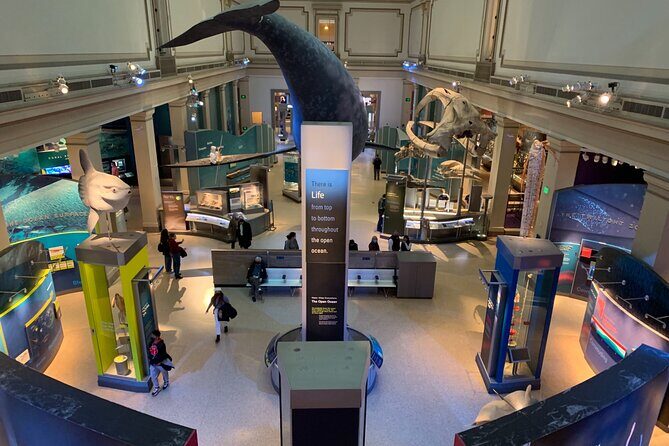 Smithsonian National Museum of Natural History with Guided Tour - Key Points