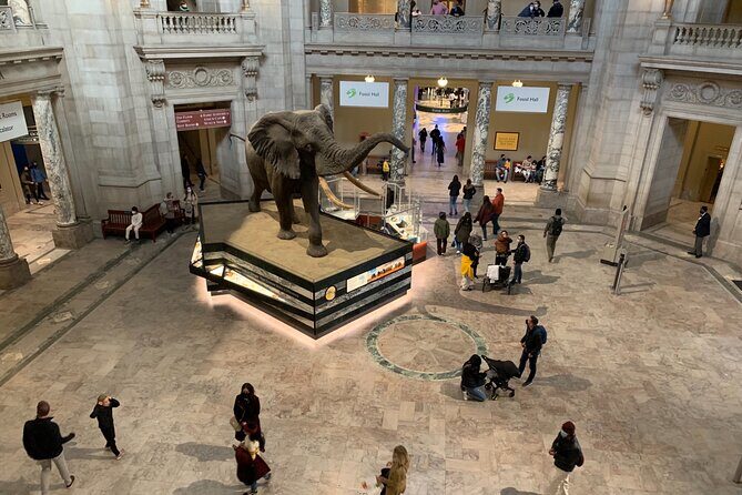 Smithsonian National Museum of Natural History with Guided Tour - Who Will Love This Tour?