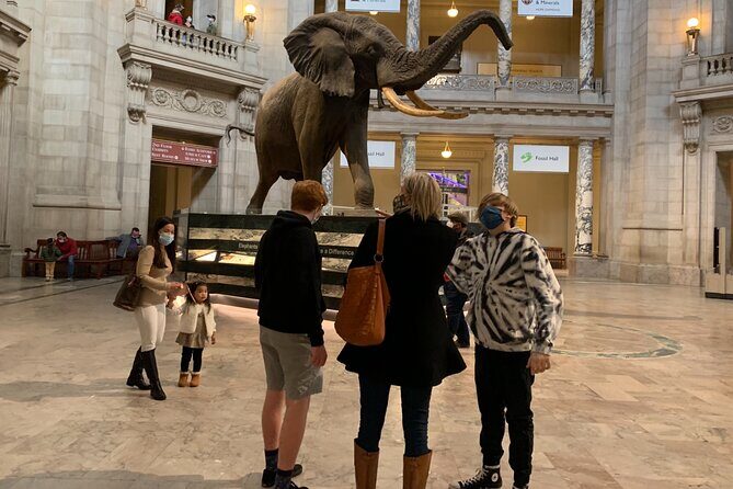 Smithsonian National Museum of Natural History with Guided Tour - Price and Value Analysis