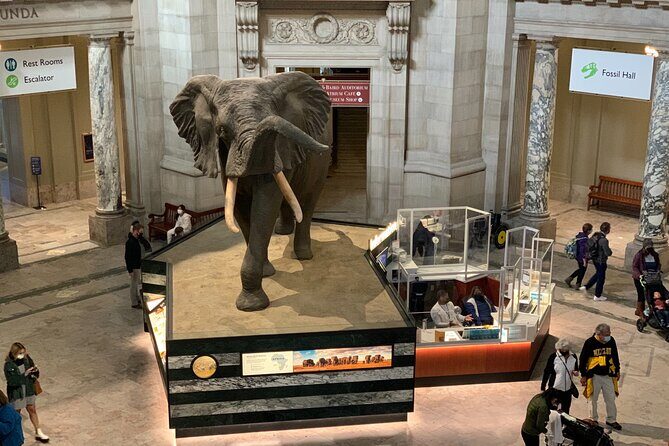 Smithsonian National Museum of Natural History with Guided Tour - The Sum Up: Who Is This Tour For?