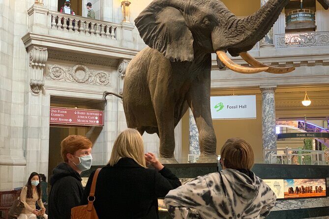 Smithsonian National Museum of Natural History with Guided Tour - FAQ: Practical Questions About the Smithsonian Guided Tour