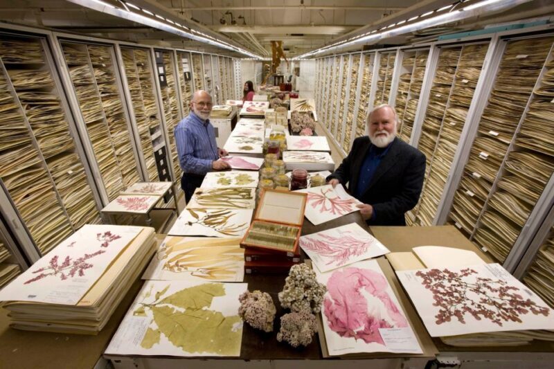 Smithsonian Natural History + Museum of American History 8pp - What to Expect in Practical Terms