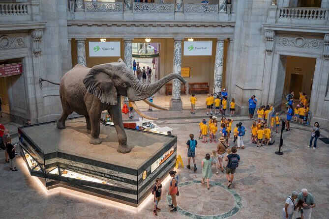 Smithsonian Natural History Museum Semi-Private Guided Tour - Smithsonian Natural History Museum Semi-Private Guided Tour Review