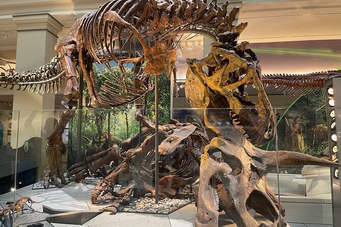 Smithsonian Natural History Museum Semi-Private Guided Tour - A Personal Touch at the Smithsonian Natural History Museum