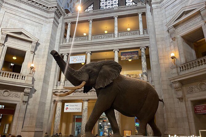 Smithsonian Natural History Museum Semi-Private Guided Tour - Exploring the Itinerary in Detail