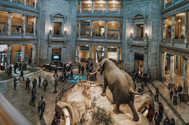 Smithsonian Natural History Museum Tour Semi-Private 8ppl - Who Will Love This Tour?
