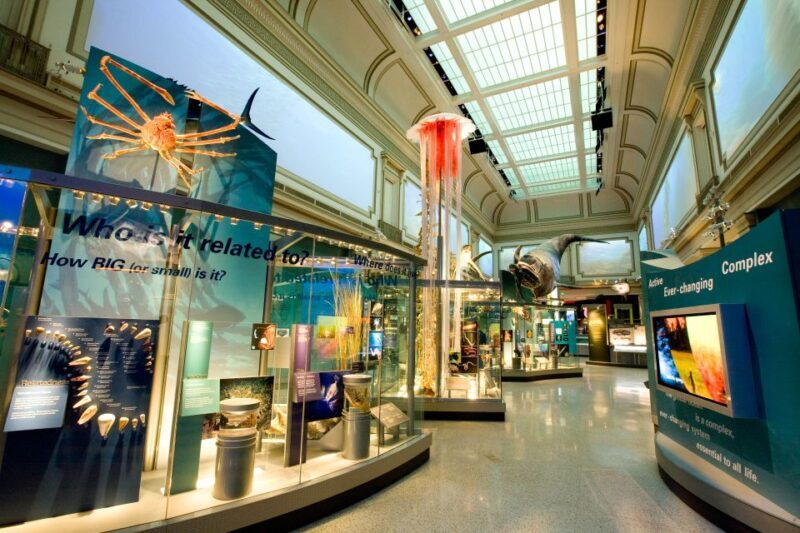 Smithsonian Natural History Museum Tour Semi-Private 8ppl - FAQs