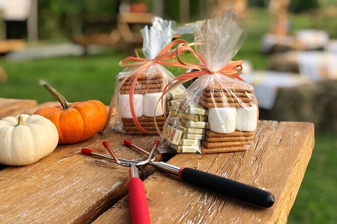 Smokies, S'mores, Mulled Wine and Fall Fun at Kelowna Winery - Discover the Charm of Kelowna’s Fall Farm Tour: Smores, Honey, and Wine