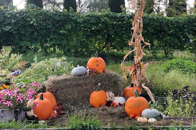 Smokies, S'mores, Mulled Wine and Fall Fun at Kelowna Winery - Practical Details to Keep in Mind
