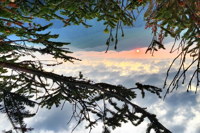 Smoky Mountain Guided Scenic High Van Tour - What Past Travelers Say