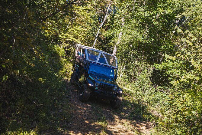 Smoky Mountains Newfound Gap Jeep Tour - Final Thoughts