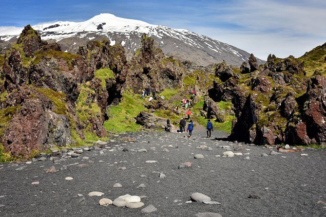 Snaefellsnes NP Tour from Reykjavik with local lunch included - What the Experience Means for You