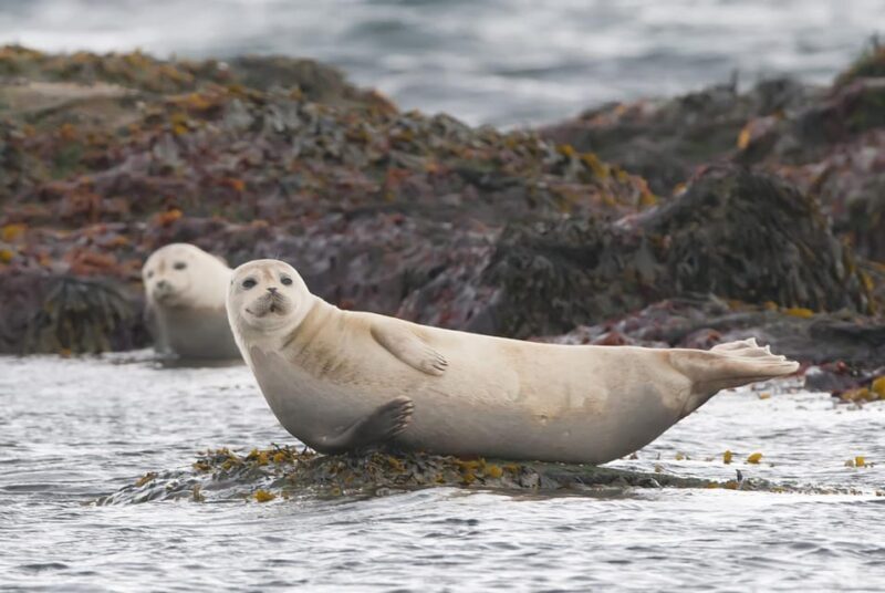 Snaefellsnes Peninsula Adventure: Small Group from Reykjavik - The Value: Is It Worth the Cost?