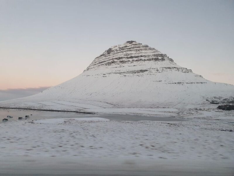 Snæfellsnes Peninsula - Full Day Private Tour from Reykjavik - Who Is This Tour Best For?