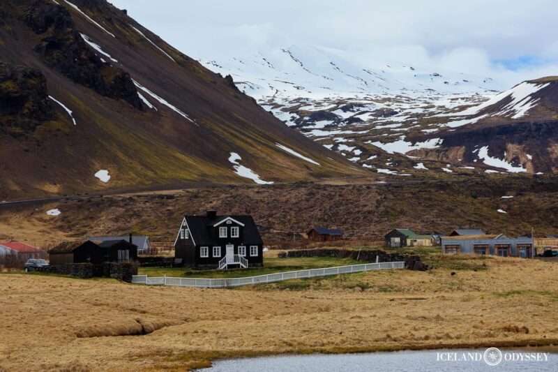 Snæfellsnes peninsula: Small Group tour by van - The Guide: Your Expert Companion