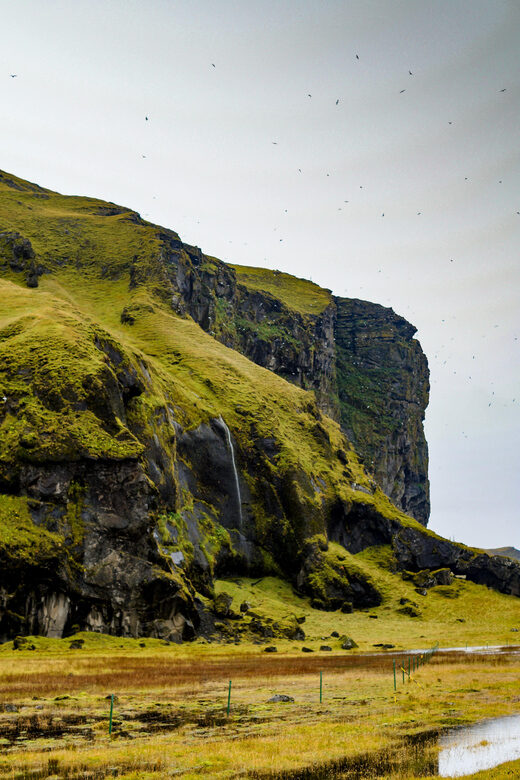 Snaefellsnes Peninsula Tour from Reykjavik - An In-Depth Look at the Itinerary: What Youll See and Why It Matters