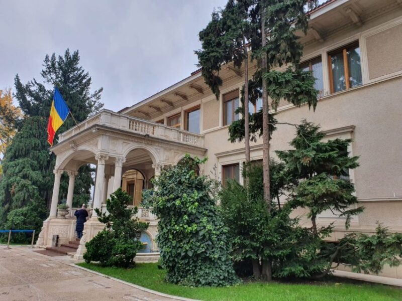 Snagov Monastery, Ceauescu Mansion, & Village Museum - 6h - Final Thoughts: Who Is This Tour Best For?