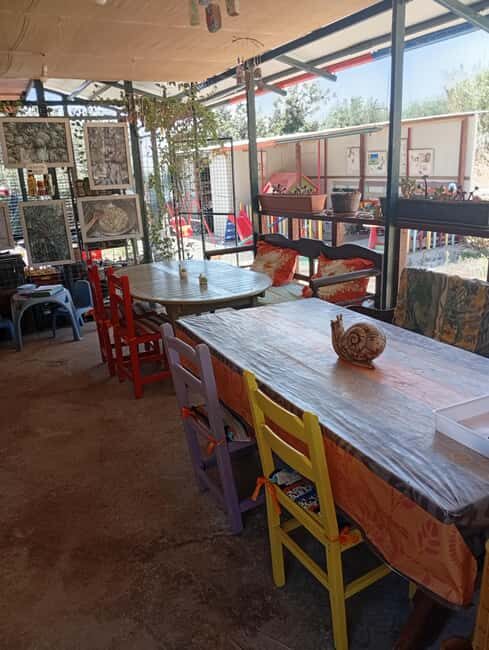 Snail and olive farm tour with table olives & homemade sweet - Pricing and Value