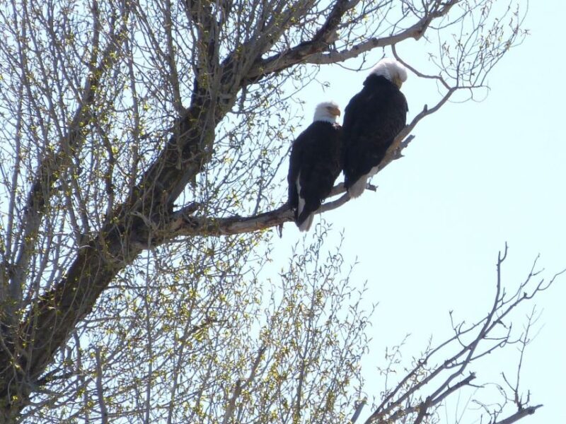 Snake River Full-Day Group Fishing Trip - An Honest Look at the Snake River Full-Day Fishing Trip