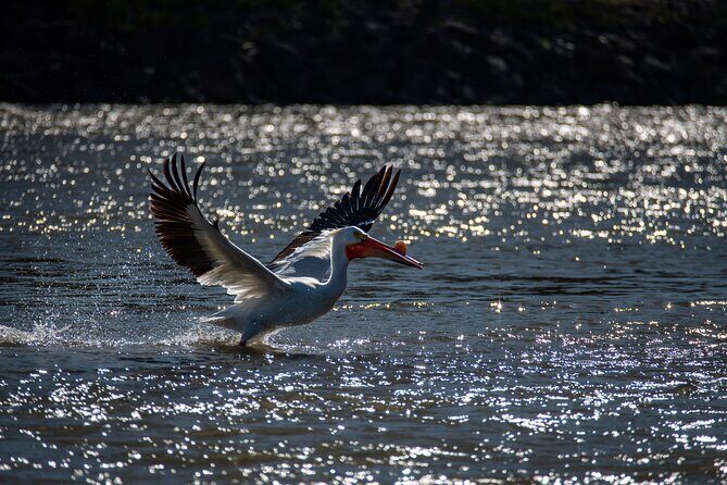 Snake River Scenic Float Private Guided Tour - Frequently Asked Questions