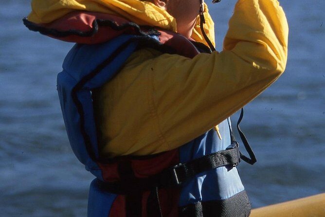 Snake River Scenic Float Trip - What to Expect Along the Itinerary