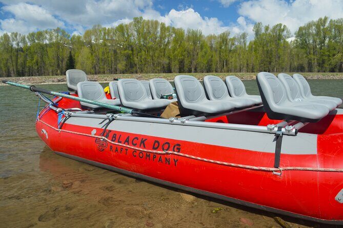 Snake River Scenic Float with Chairs - What Makes the Float Special?
