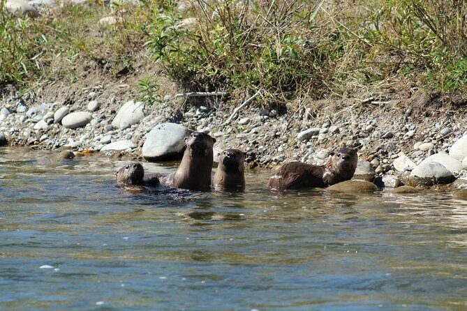 Snake River Scenic Float with Chairs - Group Size and Atmosphere