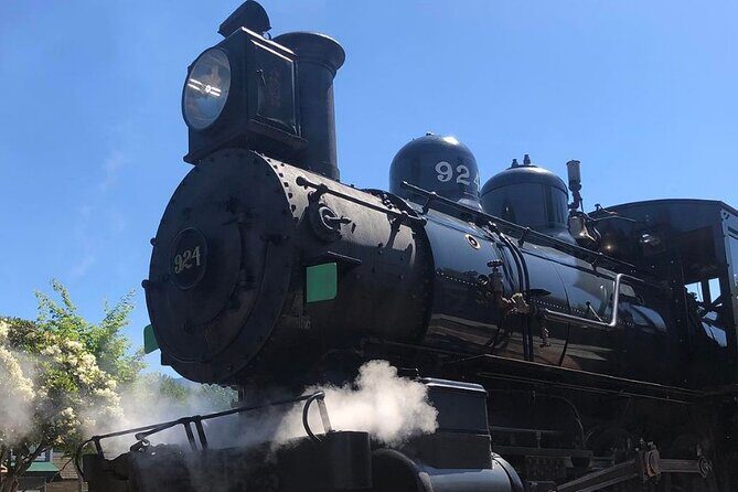 Snoqualmie Fall & Railway Museum 3-Hours (Private Tour) - Exploring Snoqualmie: A Window into the Past and Present