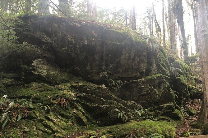 Snoqualmie falls and Twin Falls Hike - The Itinerary: What’s On the Agenda