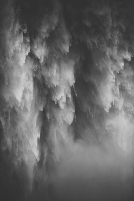 Snoqualmie, Twin Falls & Ancient Forest (Transport Included) - Exploring the Snoqualmie, Twin Falls & Ancient Forest Tour: A Nature Lover’s Day Out