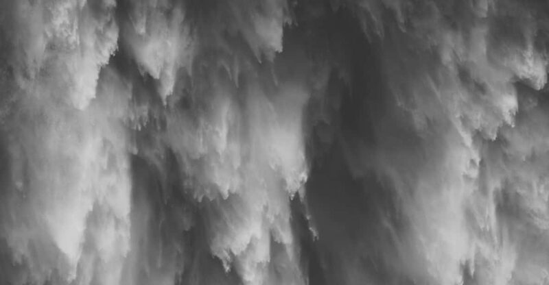 Snoqualmie, Twin Falls & Ancient Forest (Transport Included) - What’s Included and What to Bring