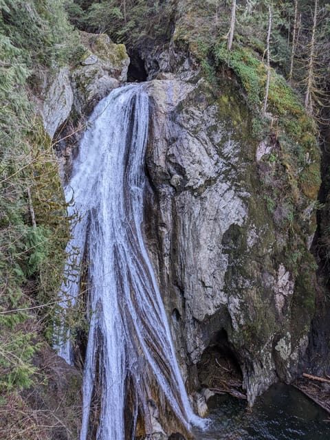 Snoqualmie, Twin Falls & Ancient Forest (Transport Included) - The Value of This Tour