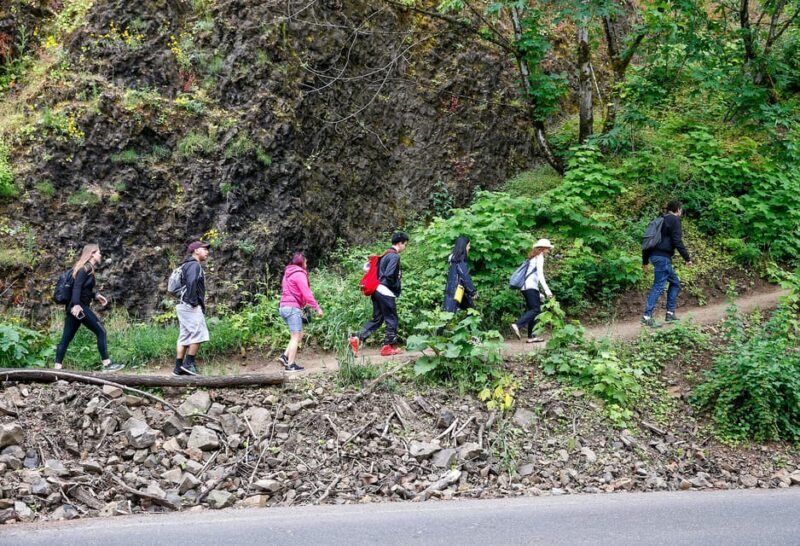 Snoqualmie, Twin Falls & Ancient Forest (Transport Included) - Final Thoughts