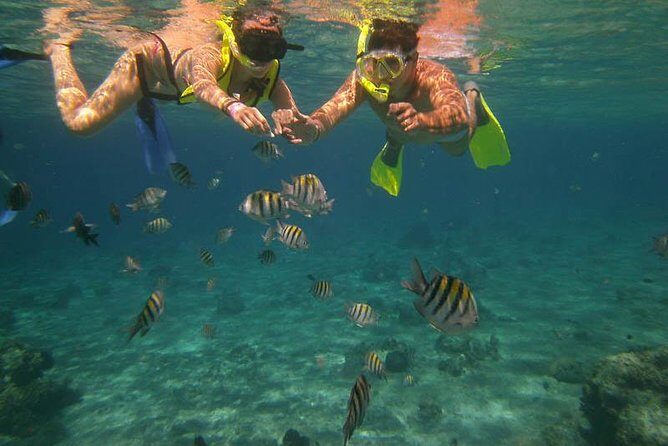 Snorkel Adventure at Cozumel! Transportation from Cancun & Playa Del Carmen - An In-Depth Look at the Cozumel Snorkel Tour