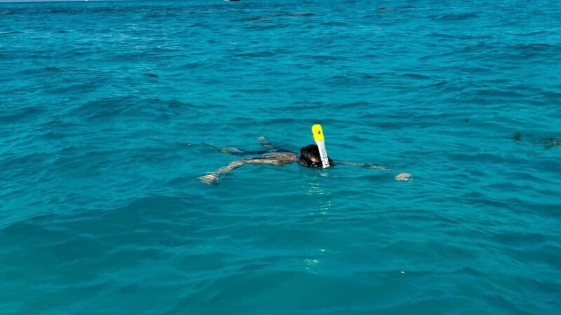 Snorkel Adventure for All Ages in Cancun 2.5 hrs - Final Thoughts