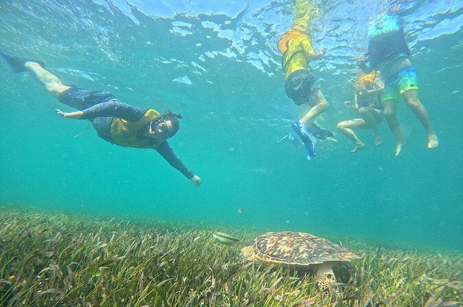 Snorkel Adventure in Cancun - FAQ
