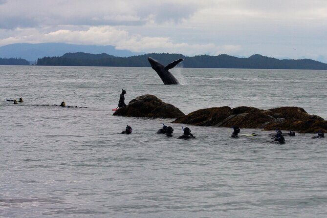 Snorkel Alaska - Why the Guides Make All the Difference