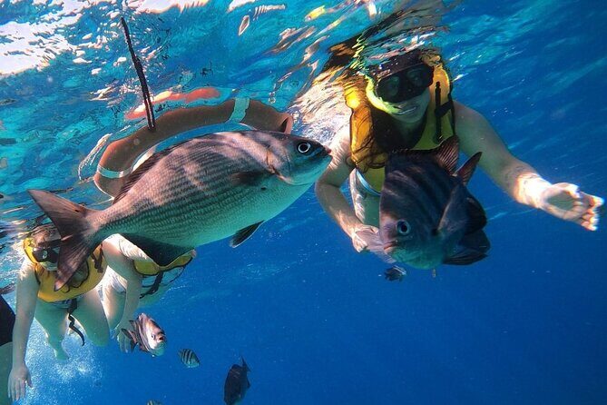 Snorkel along the coast, explore two reefs by Chivis del Mar - Duration and Timing