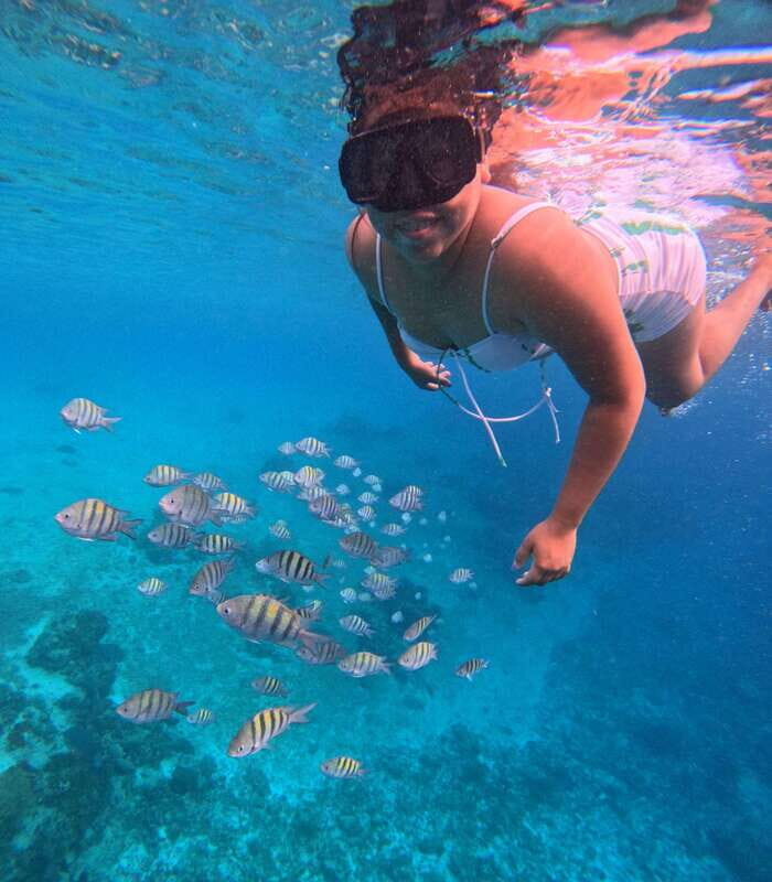 Snorkel along the coast with Chivis Del Mar. - A Closer Look at the Experience