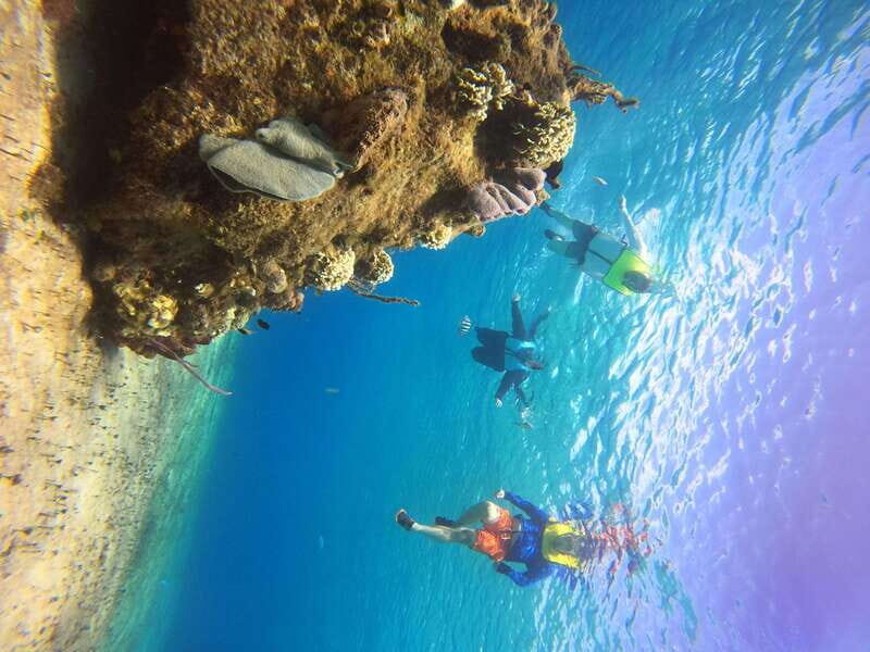 Snorkel along the coast with Chivis Del Mar. - Practical Details and What to Expect
