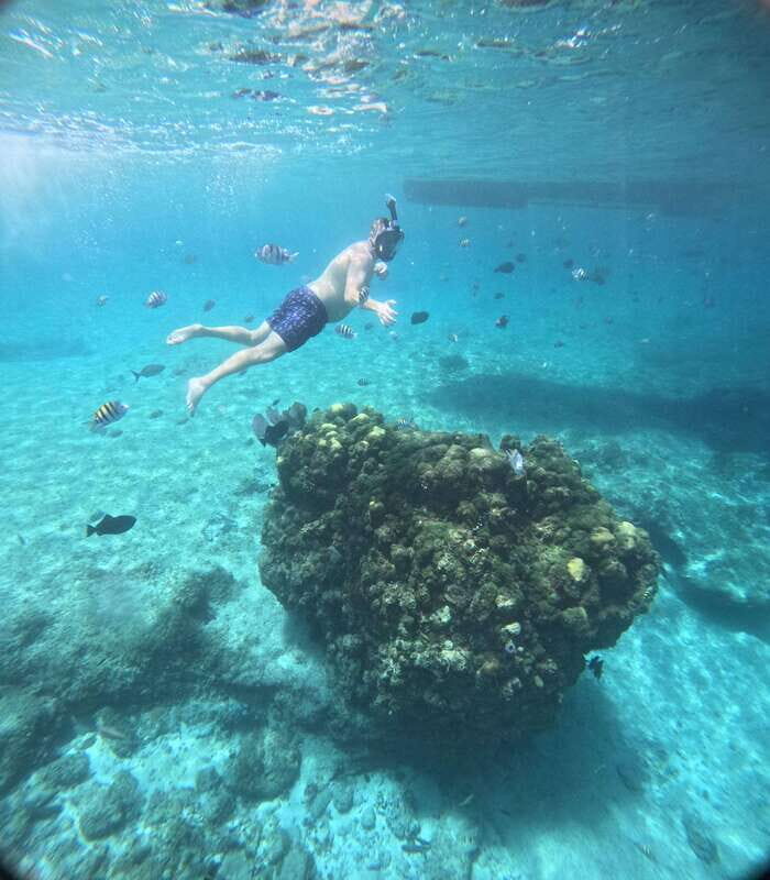 Snorkel along the coast with Chivis Del Mar. - Who Would Love This Tour?