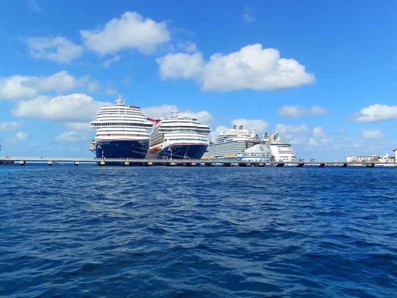 Snorkel along the coast with Chivis Del Mar. - Final Thoughts