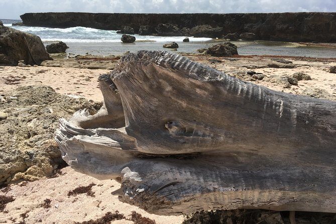 Snorkel and Beach Adventure Tour - Who Should Consider This Tour?